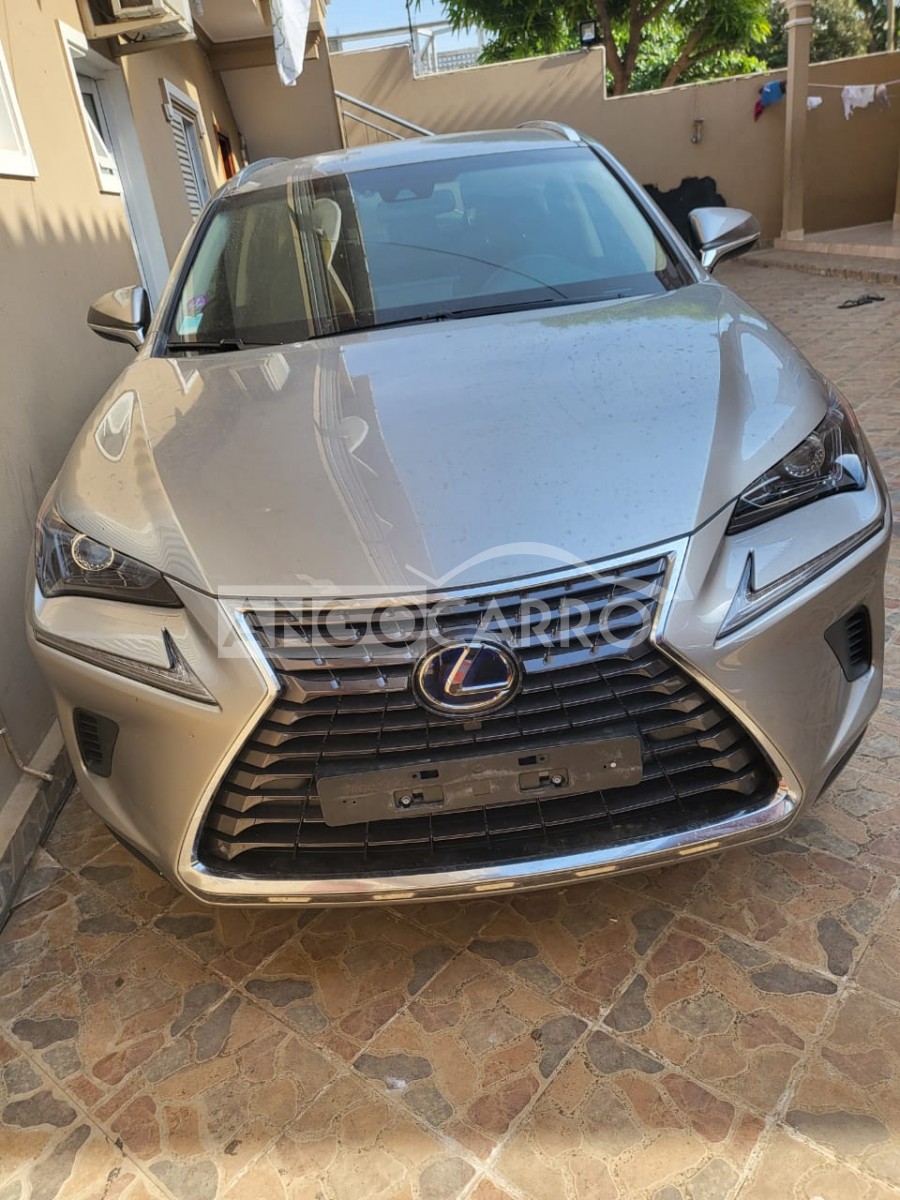 Lexus NX 2019 (Gasolina) - Angocarro
