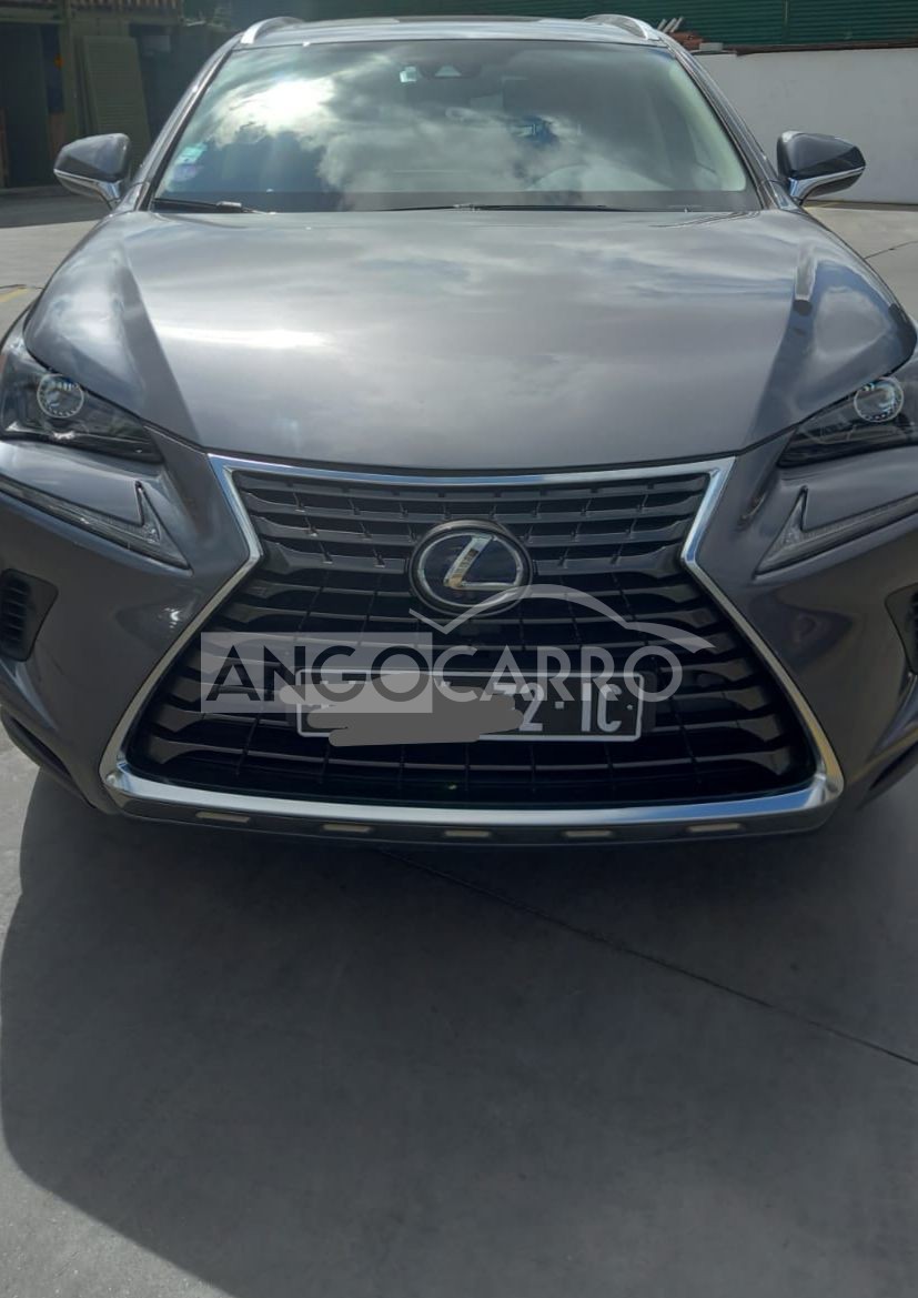 Lexus RX 2020 (Gasolina) - Angocarro
