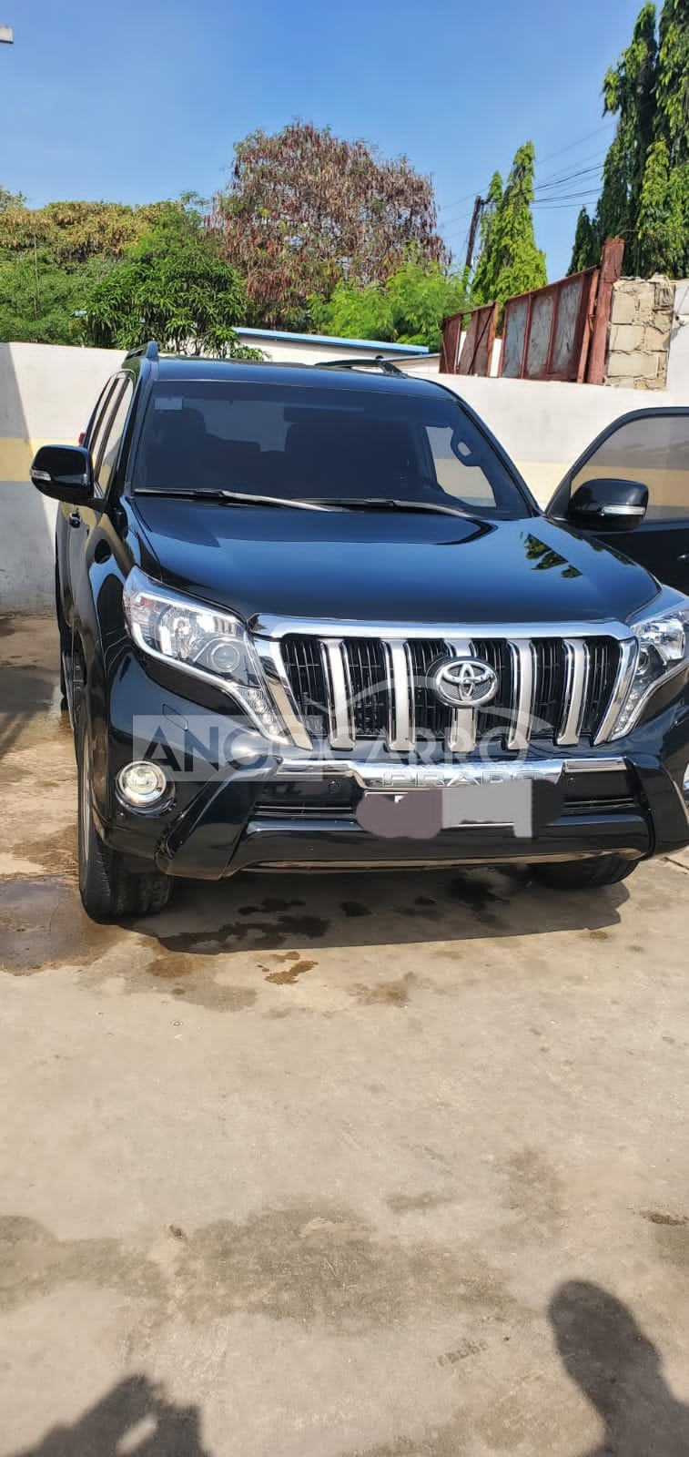 Toyota TXL 2015 (Gasolina) - Angocarro