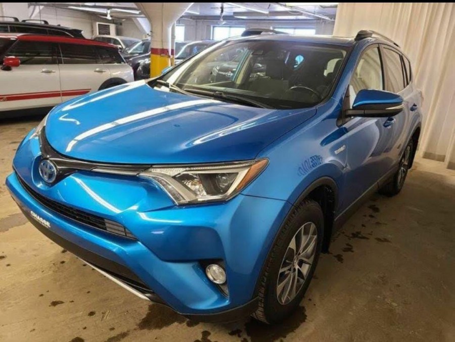 Toyota RAV4 2020 (Híbrido) - Angocarro