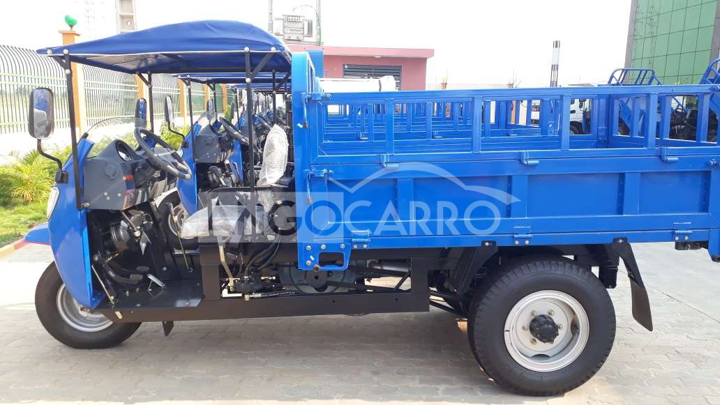 WAW Kupapata 2019 (Gasolina) - Angocarro